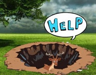 Deer Escape From Tiger - kostenlos online spielen 🕹️