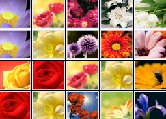 Flower Connection - kostenlos spielen | ohne Anmeldung 🕹️