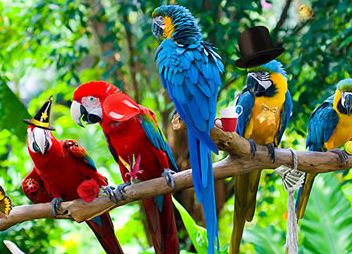 Zoo Hidden Objects kostenlos online spielen » HIER! 🕹️