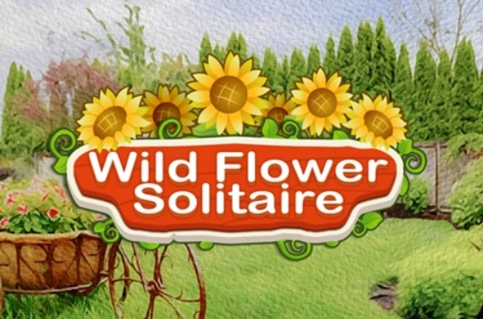 Karten Sortieren Spiele - kostenlos online spielen 🕹️